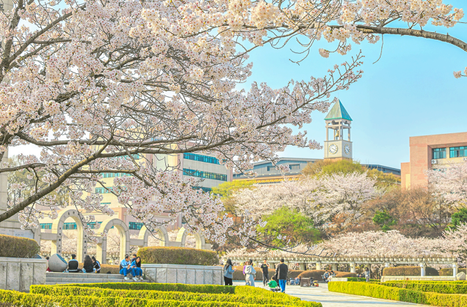 Grid View | Study Abroad